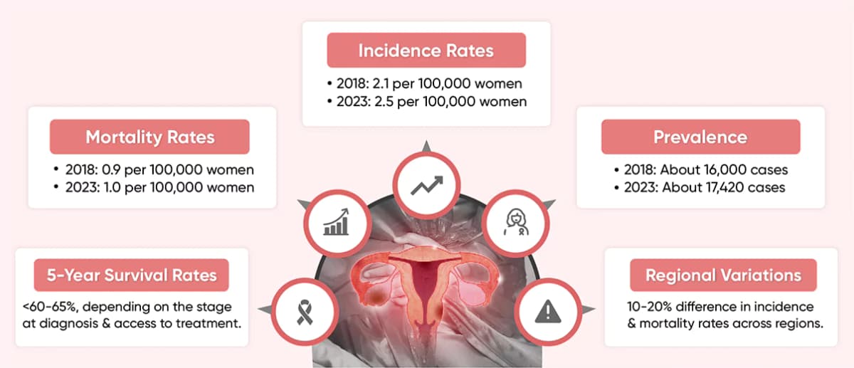 Endometrial Cancer: Risk Factors, Symptoms & Treatment - MrMed